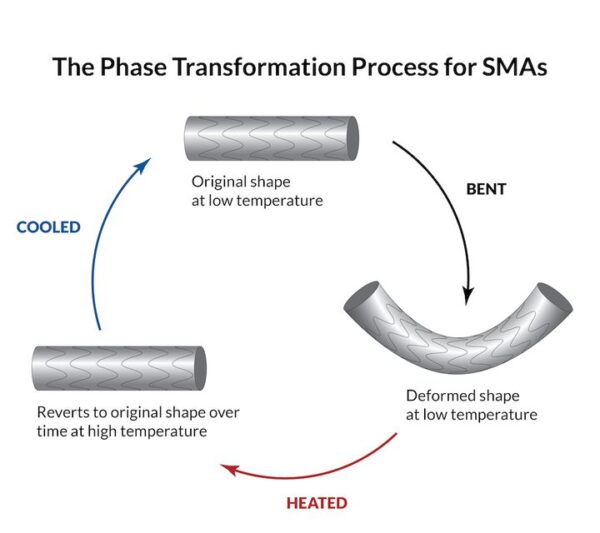 When was Shape memory alloys discovered|shape memory alloy spring